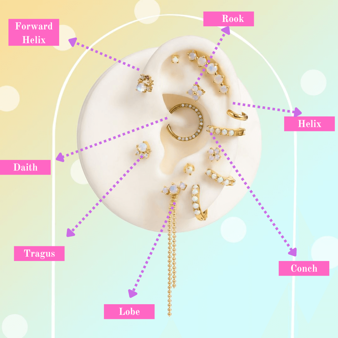 Ear Piercing Chart | Ear Piercing Names - EricaJewels